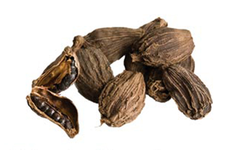 Spices & Seeds - GT Jayanti Group