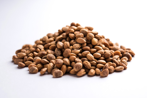Spices & Seeds - GT Jayanti Group