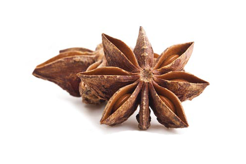 Spices & Seeds - GT Jayanti Group